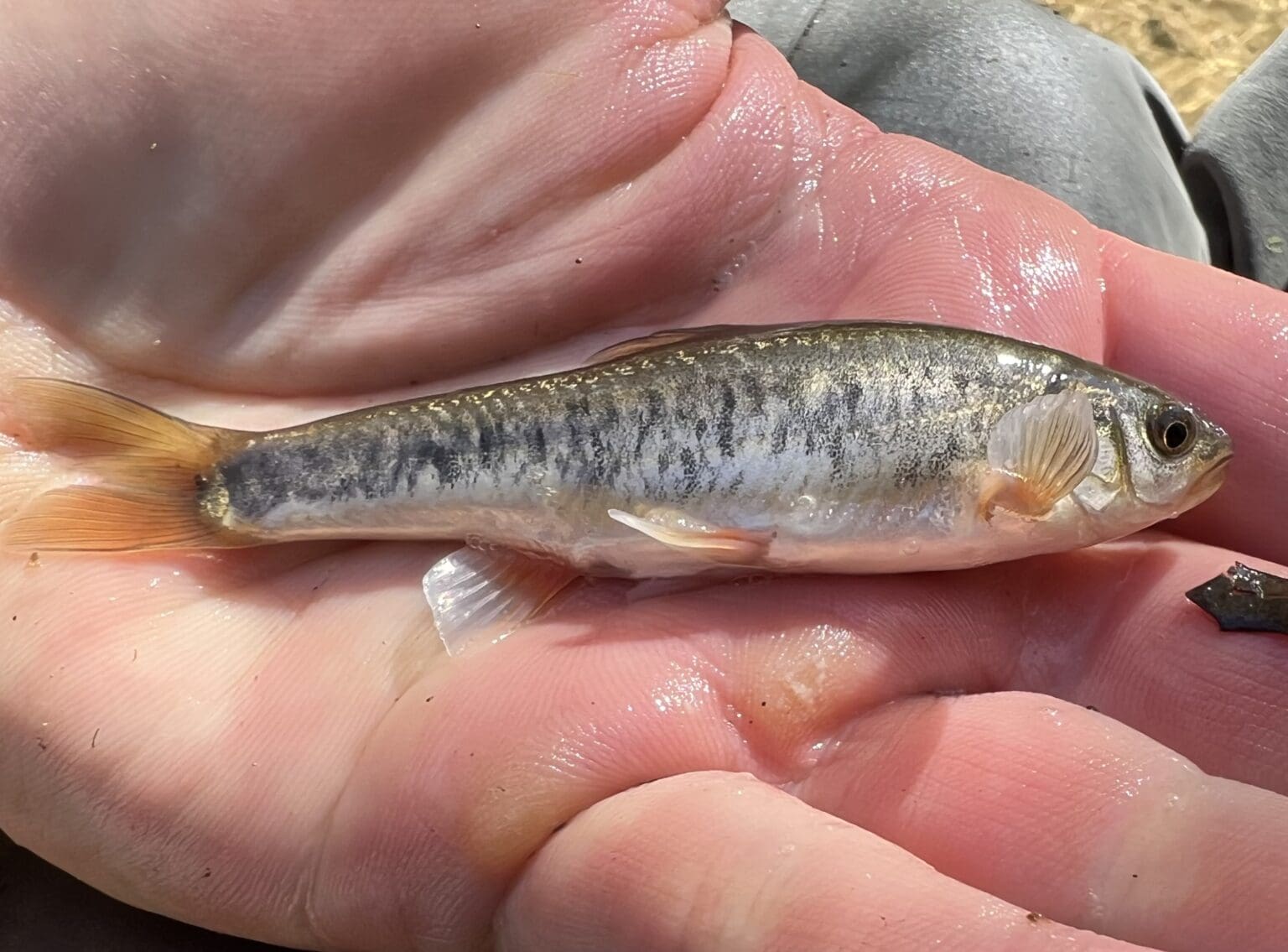 Virgin River Program | News Updates